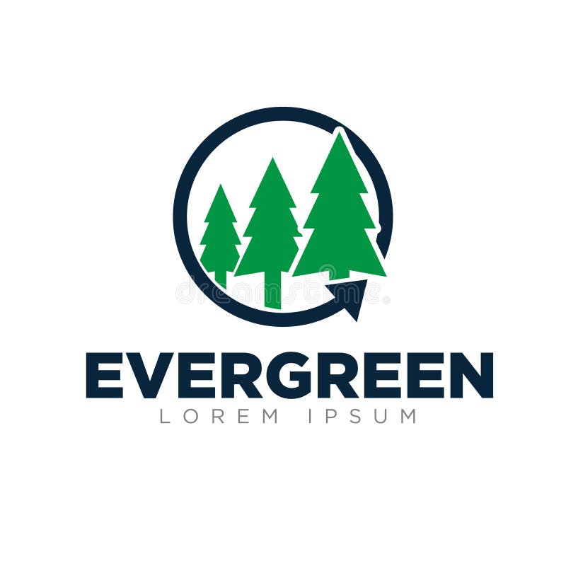 Evergreen Tree Logo Modern Tree Logo PNG Transparent Images Free