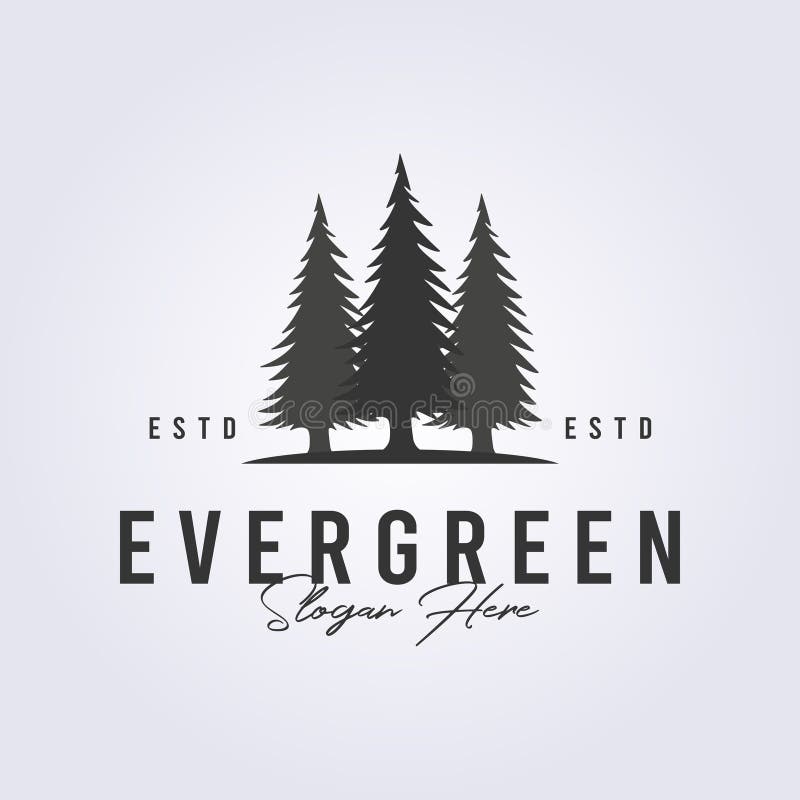 Evergreen Logo Pine Tree Icon Symbol Vector Illustration Design.. Stock ...
