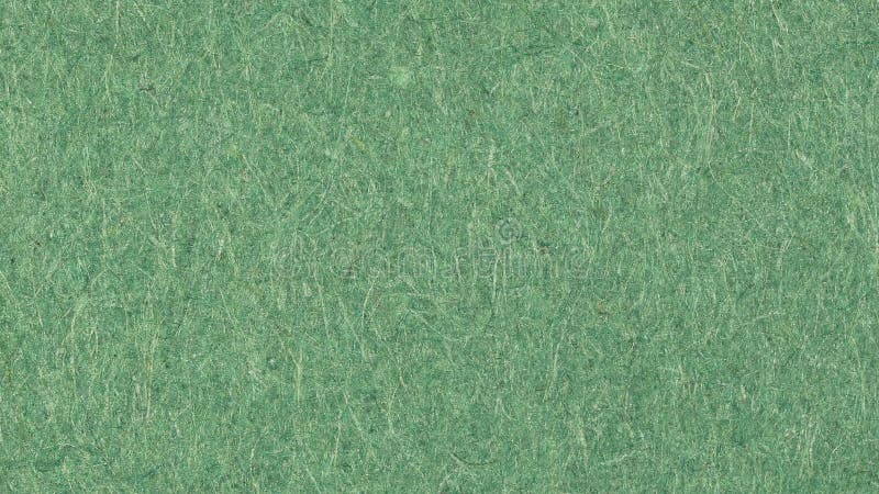 Evergreen Paper Background Texture Seamless Loop Stock Footage - Video ...