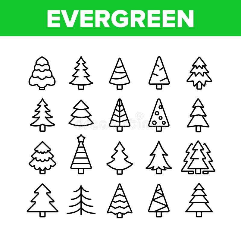 Vector Set of Different Styles Pine Tree Icons Stock Vector ... Vector Set of Different Styles Pine Tree Icons Stock Vector ...