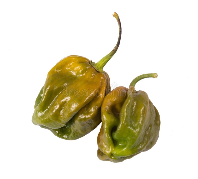 7 Pod Pepper Stock Photos - Free & Royalty-Free Stock Photos from ...