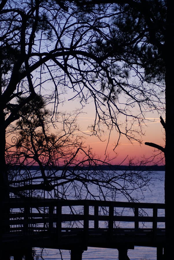 Evergreen Sunset stock photo. Image of dusk, twilight - 49154436