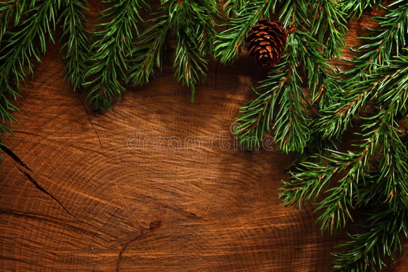 Evergreen tree background stock photo. Image of green - 47330566