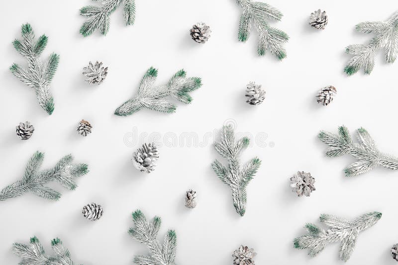 Evergreen Tree Branch with Snow and Pine Cones. Horizontal Composition ...