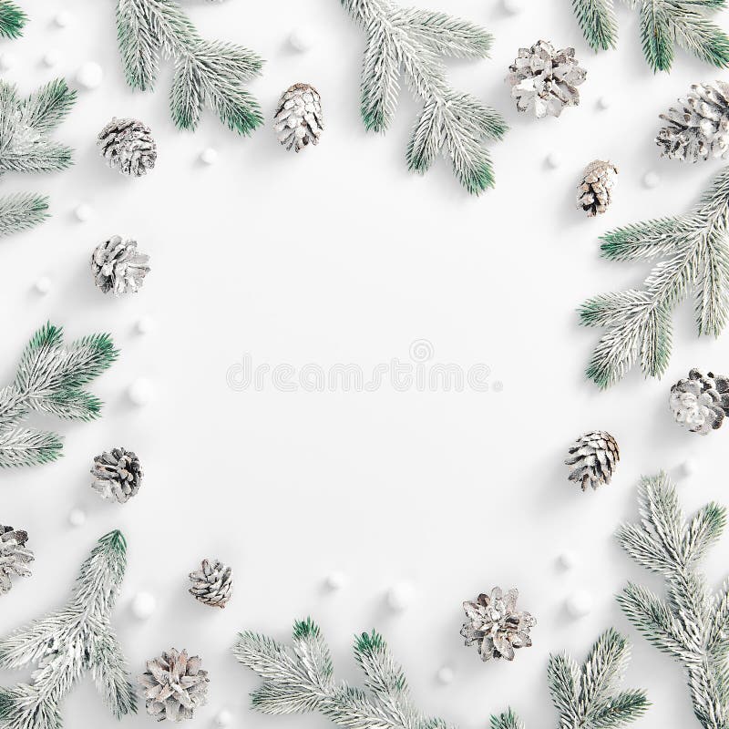 Evergreen Tree Branch with Snow and Pine Cones. Square Composition ...