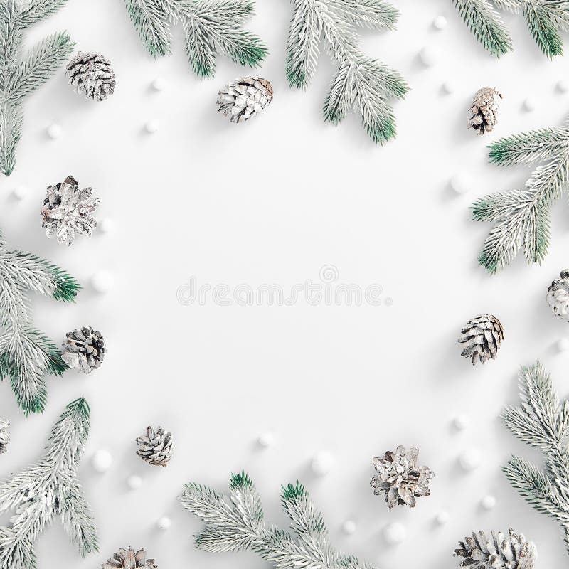 Evergreen Tree Branch with Snow and Pine Cones. Square Composition ...