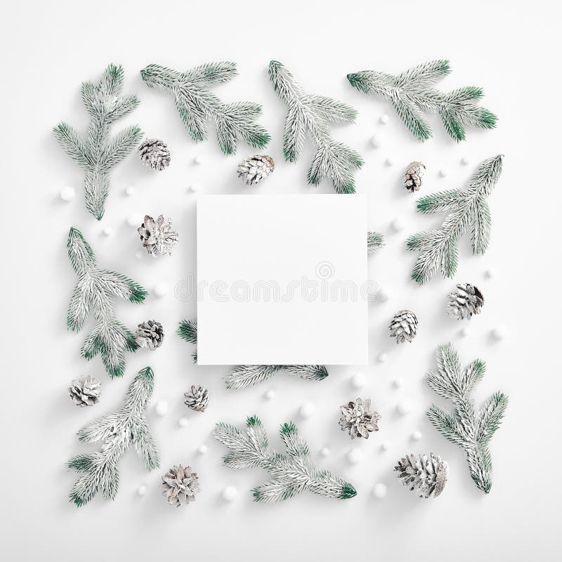 Evergreen Tree Branch with Snow and Pine Cones. Square Composition ...