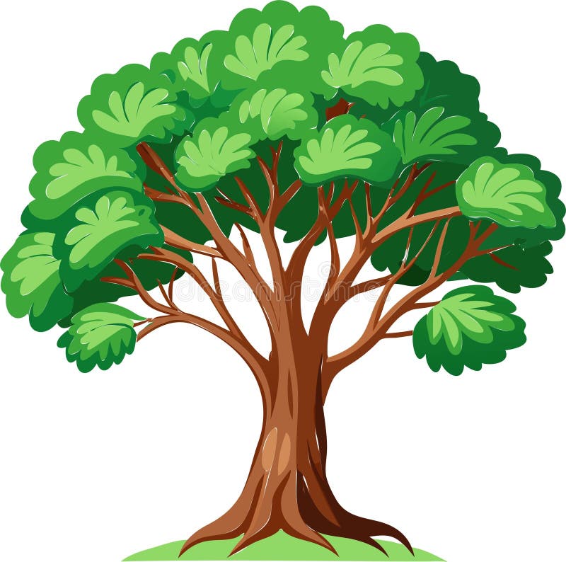 Evergreen Tree Vector for Eco Projects Stock Illustration ...