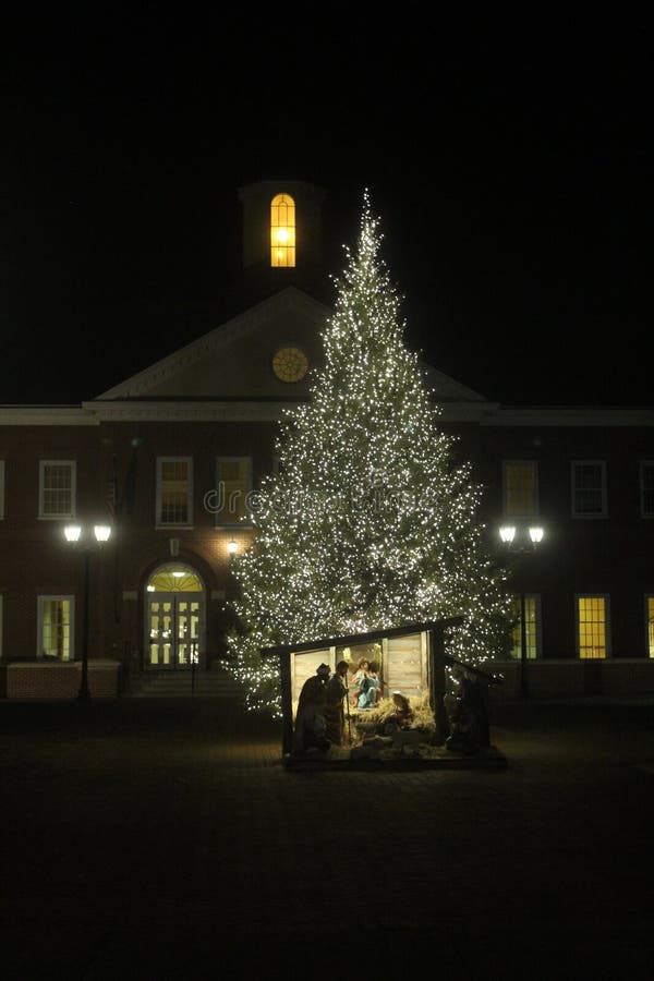 Evergreen Tree with White Lights Stock Photo - Image of lighting, white ...