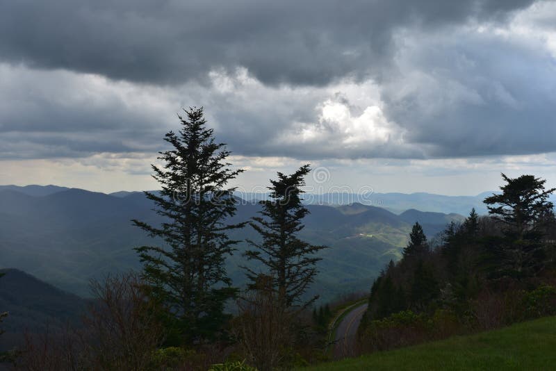 Evergreen Trees in the Blue Ridge Mountains Stock Image - Image of ...