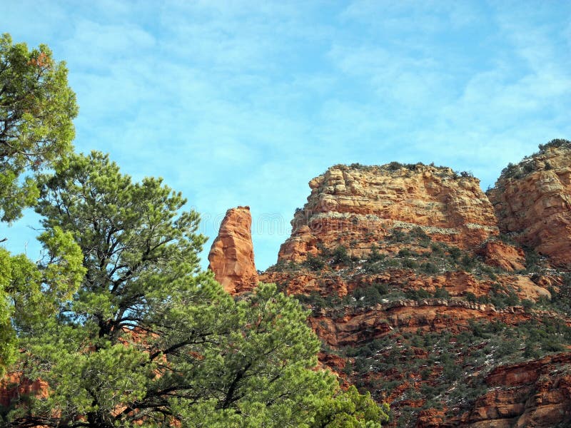 Evergreens Beneath the Cliffs Stock Image - Image of mountains, beauty ...