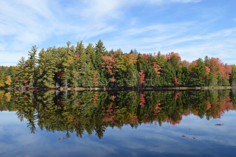 Evergreens, Maples and Clouds Reflected Stock Photo - Image of ...
