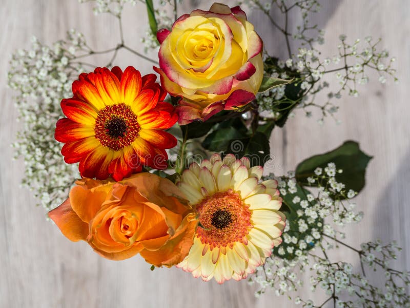 Everlasting Flowers on a Wood Background Stock Photo - Image of ...