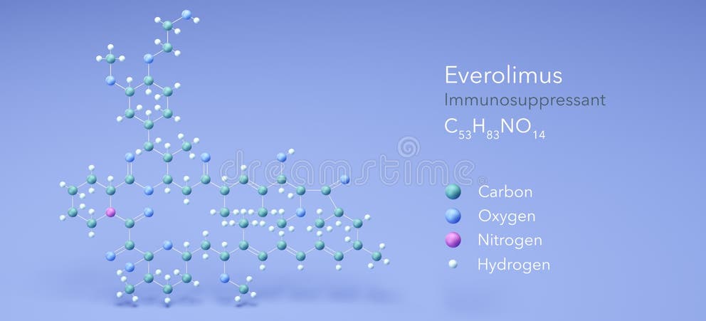 Everolimus Molecule, Molecular Structures, Immunosuppressant, 3d Model ...