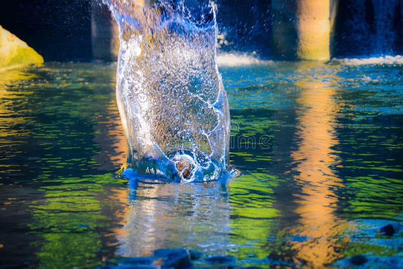 Every Action Has a Reaction. Stock Image - Image of water, river: 76292493