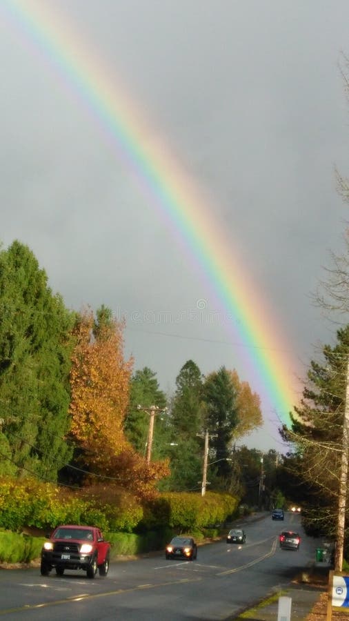 Every color of the rainbow stock photo. Image of colored - 105028404