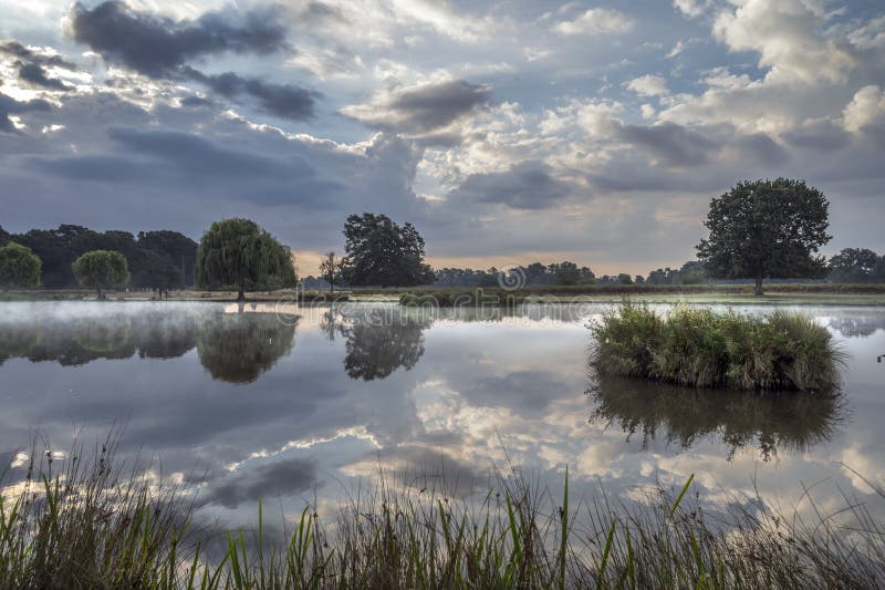 Every Day in Nature is Unique Stock Image - Image of brown, autumn ...