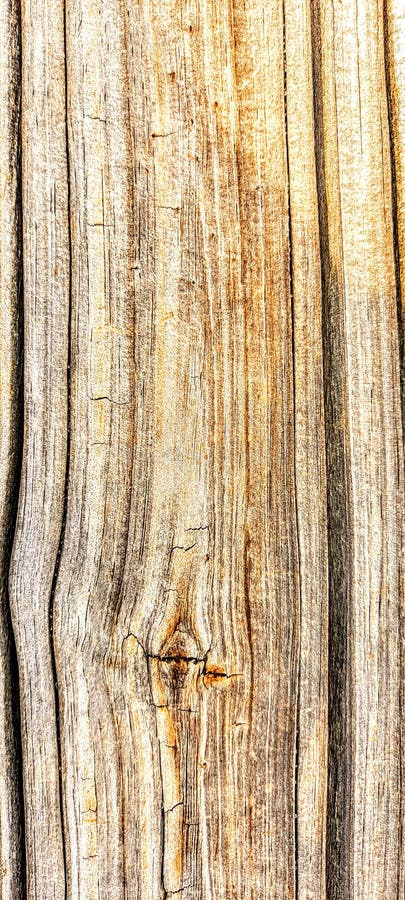 Every grain in the wood stock image. Image of wood, wall - 265060035