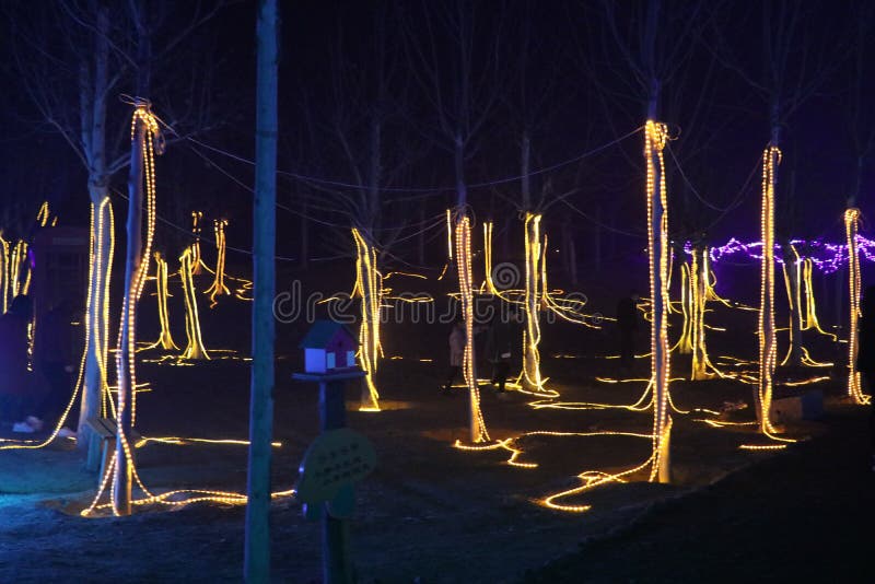 Trees that glow editorial photo. Image of countless - 104514466