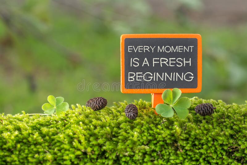 A fresh start road sign stock image. Image of choice - 107734541
