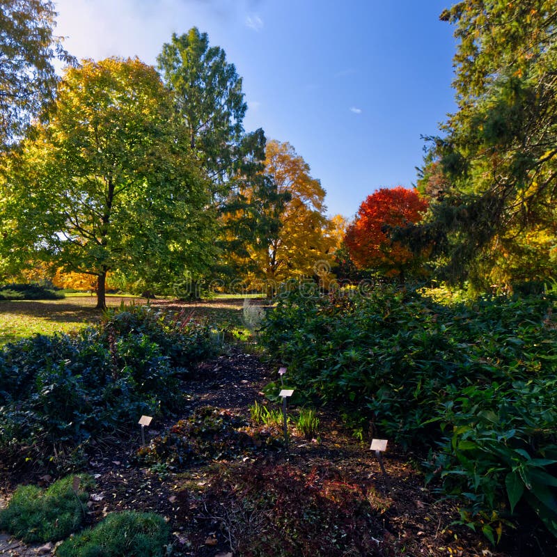 Every Shade of Light and Color that Nature Can Display , Niagara Falls ...