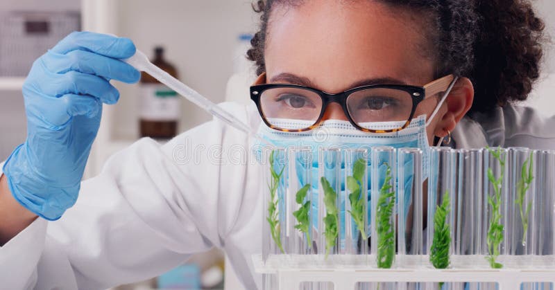 Every Study is Lead by Curiosity. a Young Scientist Working with Plant ...