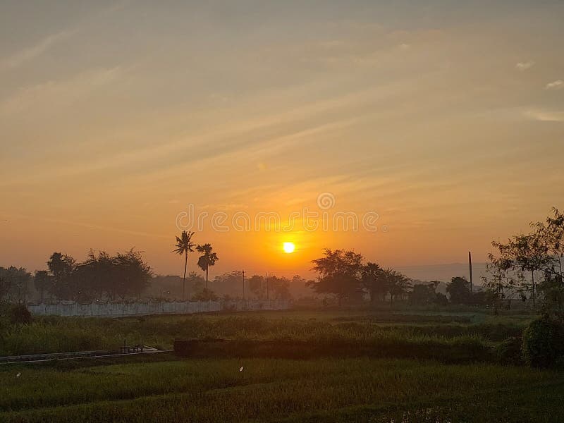 Every Sunrise is a New Beginning Stock Image - Image of jungle, grass ...