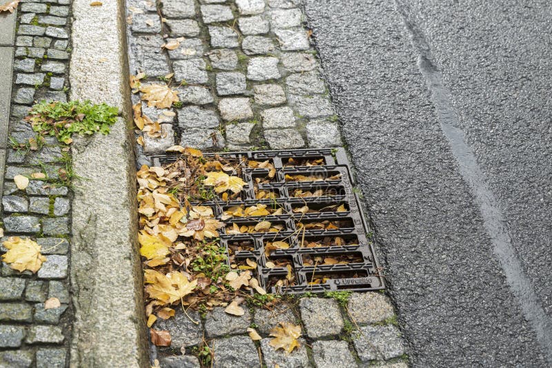 Every Year in the Fall Clog the Drains Stock Image - Image of sewer ...