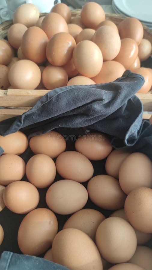 Everyday egg stock photo. Image of everyday, chicken - 264832266