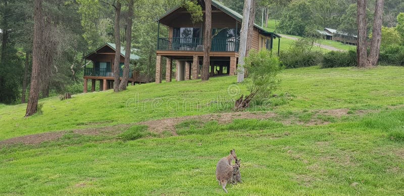 Everyday Living in the Mountains Australia Stock Image - Image of ...