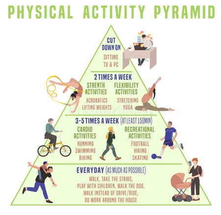Everyday Physical Activity Pyramid. Vector Illustration Isolated on a ...