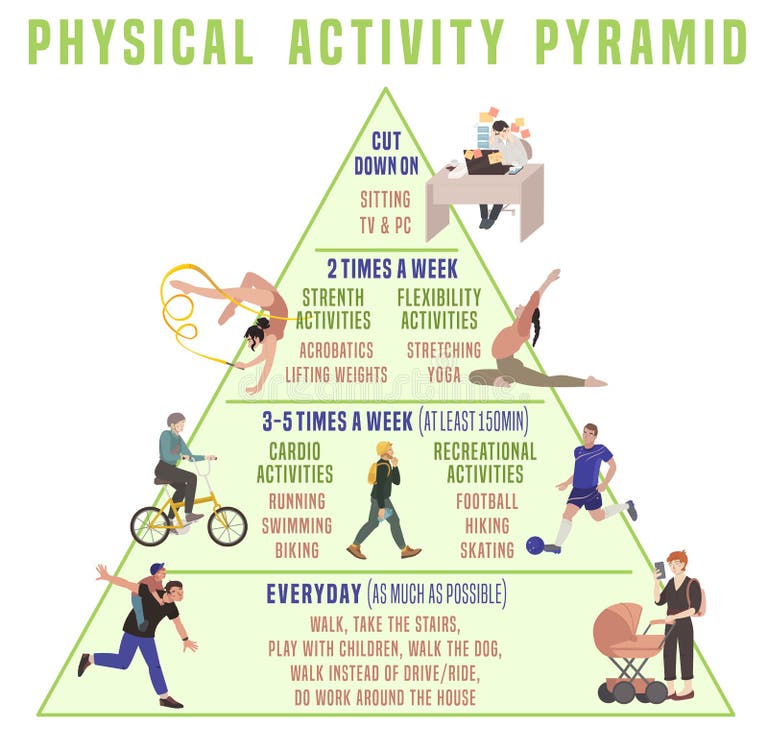 Physical Activity Pyramid Stock Illustrations – 60 Physical Activity ...