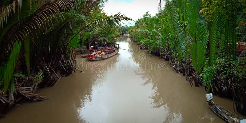 Transport in the river stock photo. Image of move, transports - 125639066