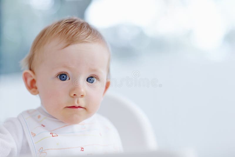 Everything is New and Interesting. a Cute Baby Boy Looking Intensely at ...