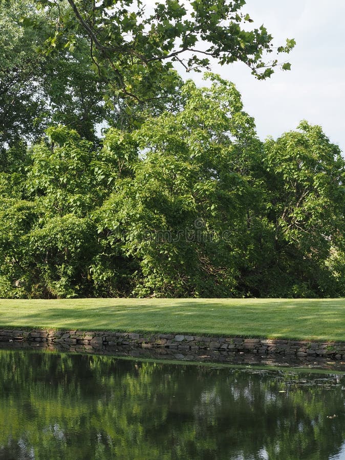 Everything is Nice and Calm by the Pond. Stock Image - Image of water ...