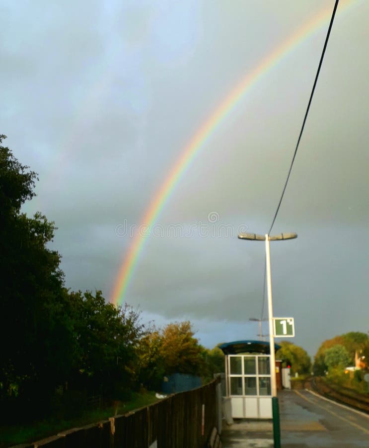 Everything S Better in Rainbow Stock Image - Image of rainbow, world ...