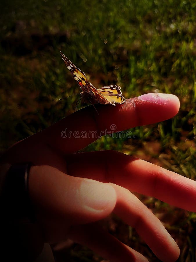 Everything Thing Love Human ???????? Stock Photo - Image of soil, human ...
