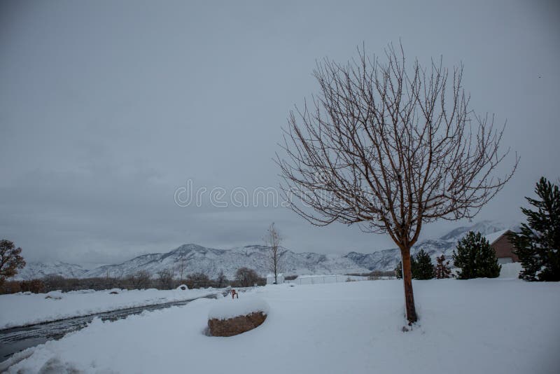 Winter is Coming and Snow ! Stock Photo - Image of woods, season: 165414518