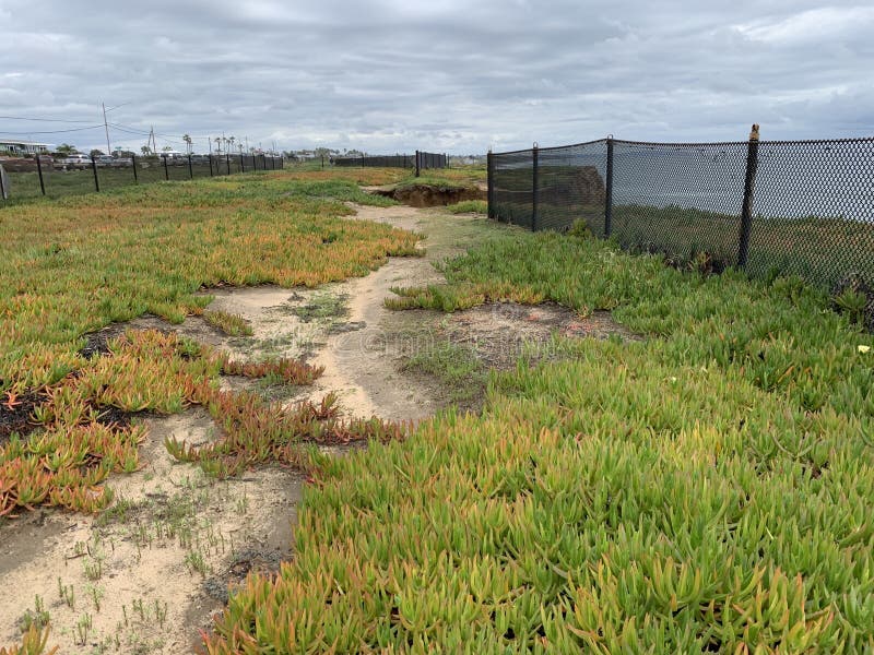 Erosion Along the Coastline Stock Image - Image of subject, climate ...