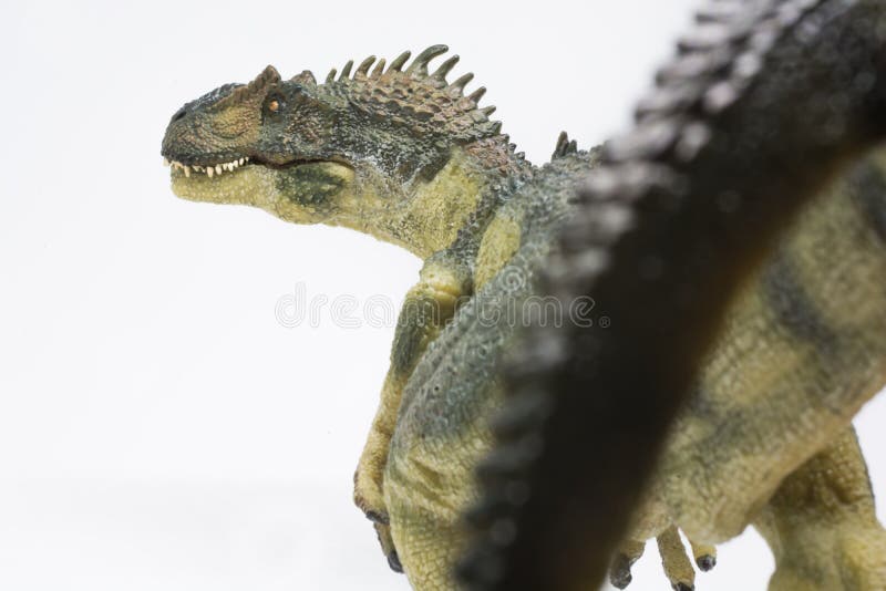 Evil Allosaurus on White Background Stock Photo - Image of animal, hall ...