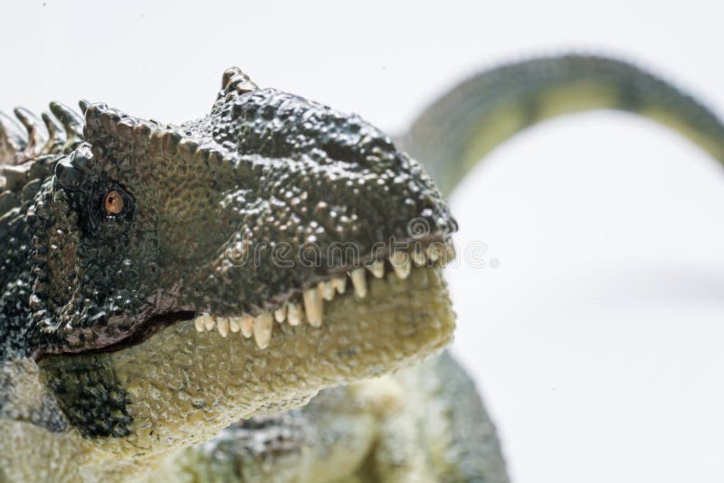 Evil Allosaurus on White Background Stock Image - Image of brachiosaur ...