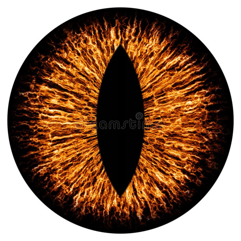 Evil Animal Eye Iris Macro Illustration Stock Illustration ...