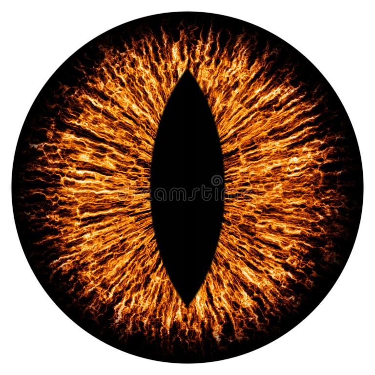 Animal Eye Iris Stock Illustrations – 5,515 Animal Eye Iris Stock ...