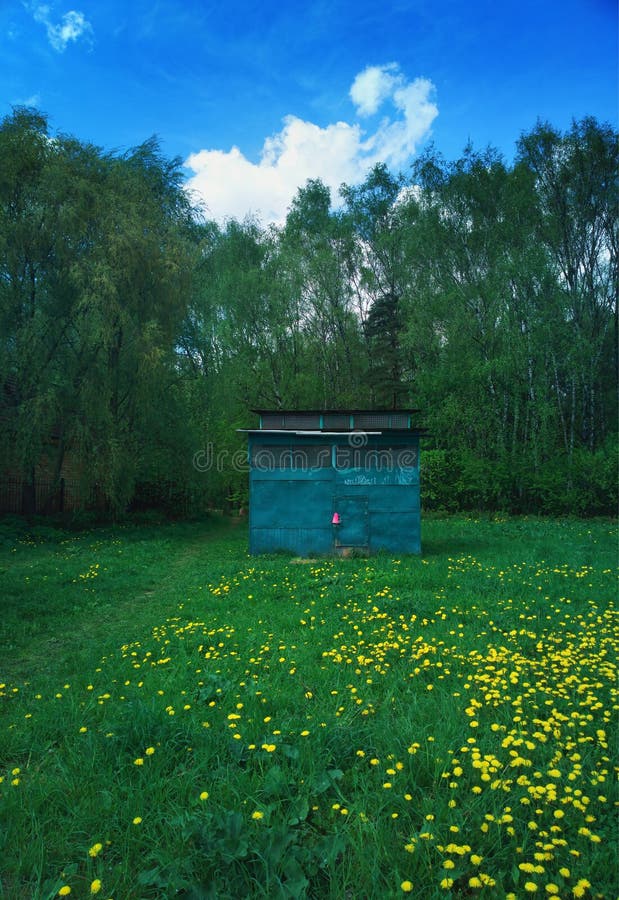 Evil Barn Near Summer Forest Backdrop Stock Image - Image of field ...