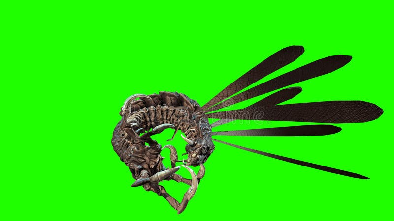 The evil bug 3d render stock illustration. Illustration of arthropod ...