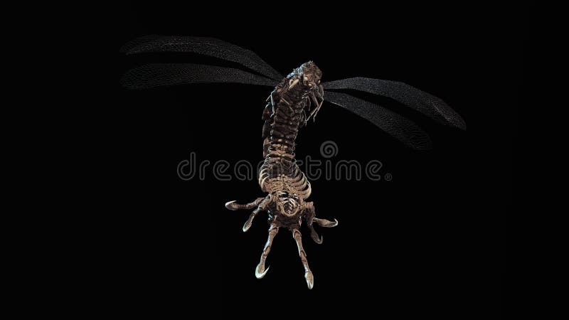 The evil bug 3d render stock illustration. Illustration of arthropod ...