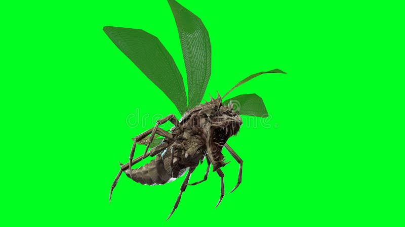 The evil bug 3d render stock illustration. Illustration of black ...