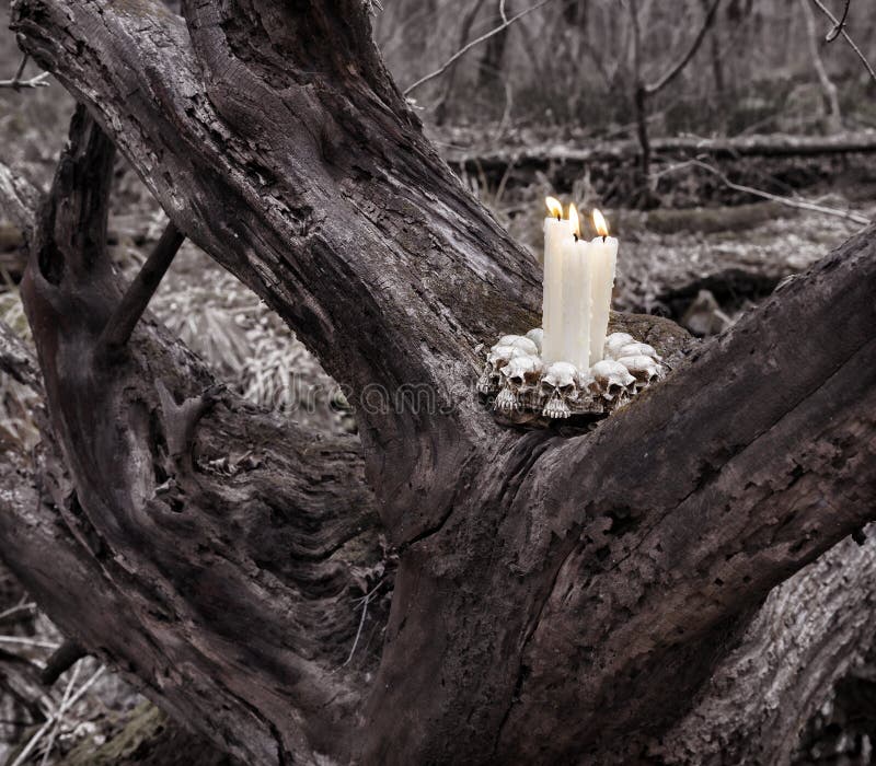 Evil Candles on the Tree in the Forest Stock Image - Image of filters ...