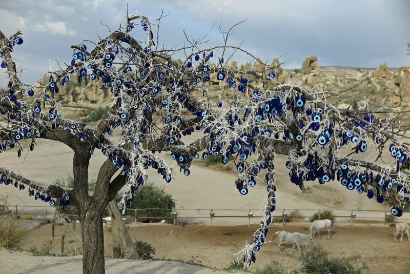 Glass tree stock photo. Image of tree, turkey, eyes - 102725976