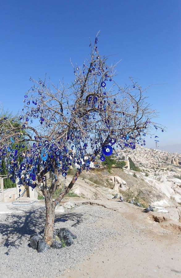 Evil eye tree stock photo. Image of beautiful, fully - 88464774